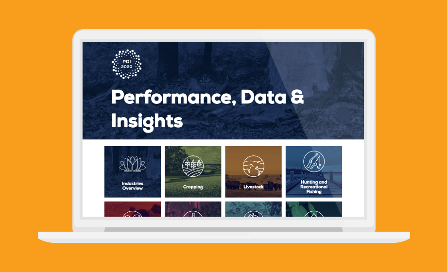 Performance, Data & Insights 2020